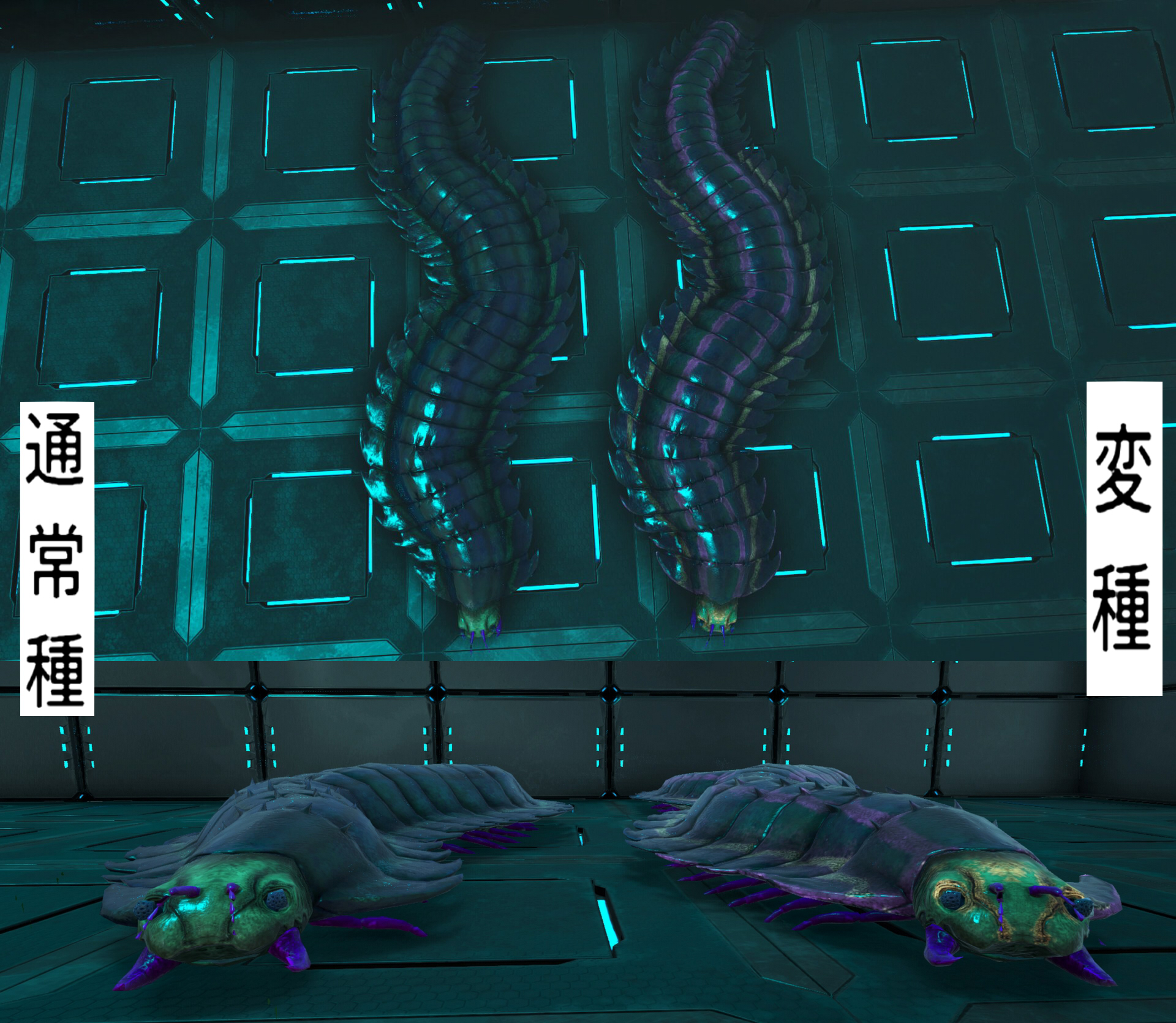 (一部)原種と変種の比較画像・変種コマンド一覧(ASE) | Ark魂ーPS版ー