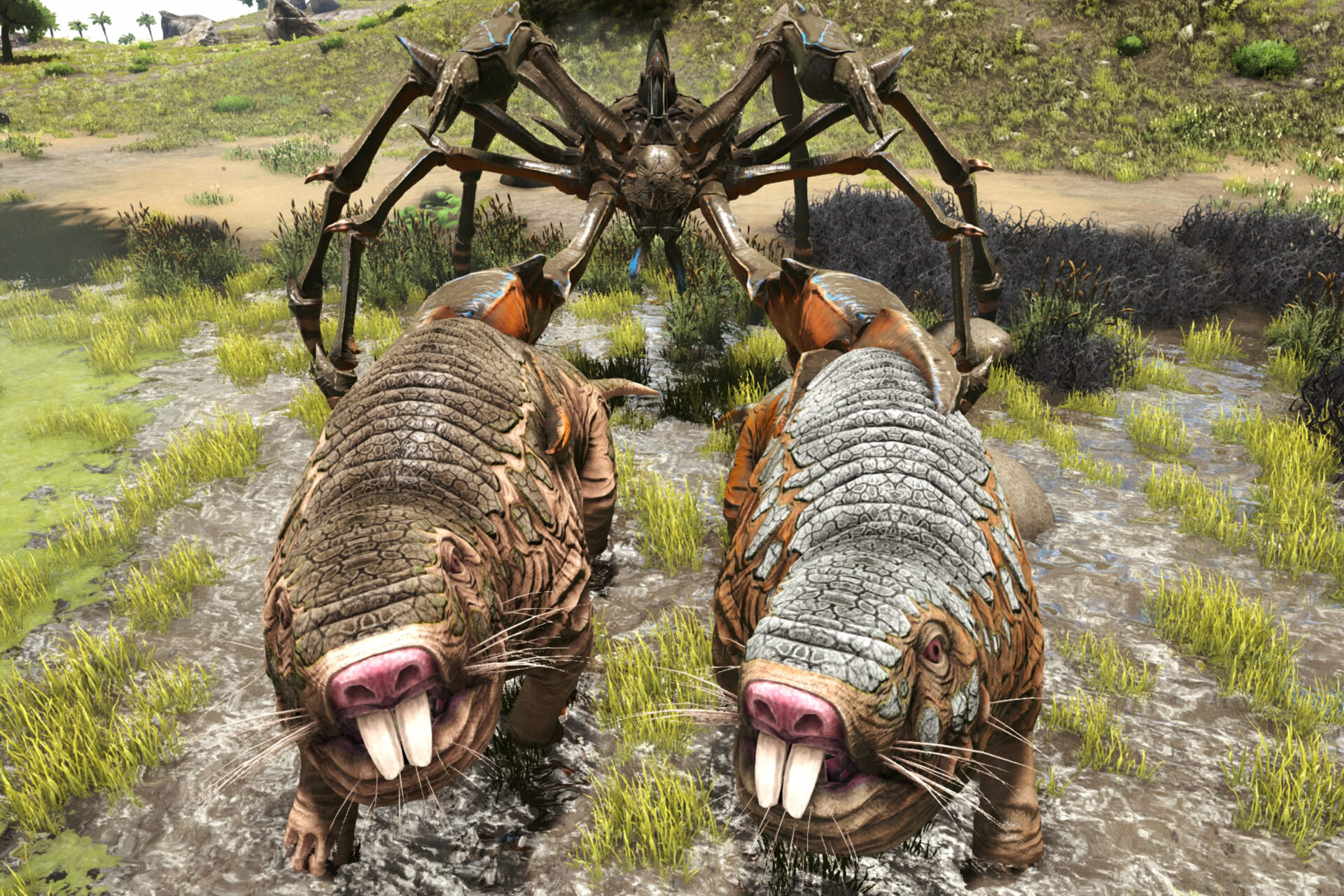 ロールラット[Roll Rat]評価 | Ark魂ーPS版ー