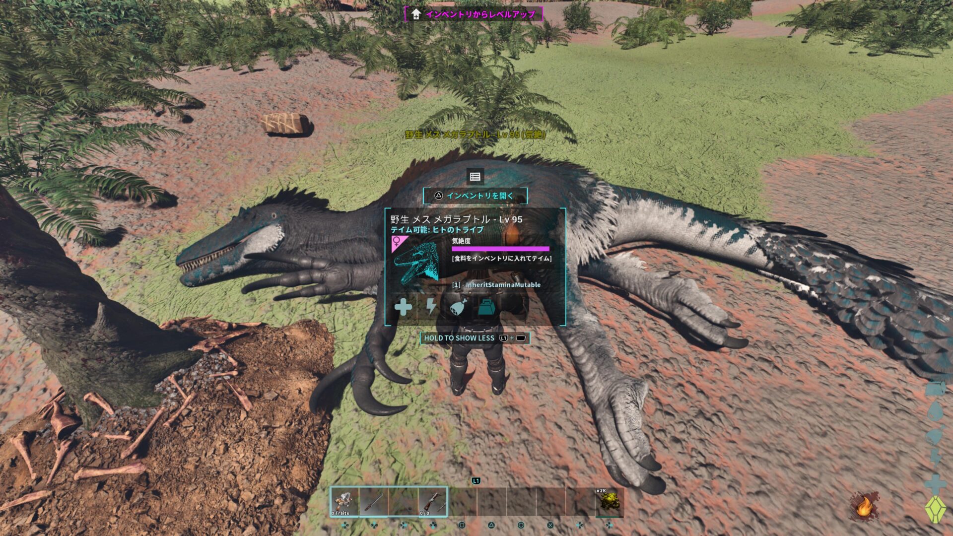 メガラプトル[Megaraptor]評価 | Ark魂ーPS版ー